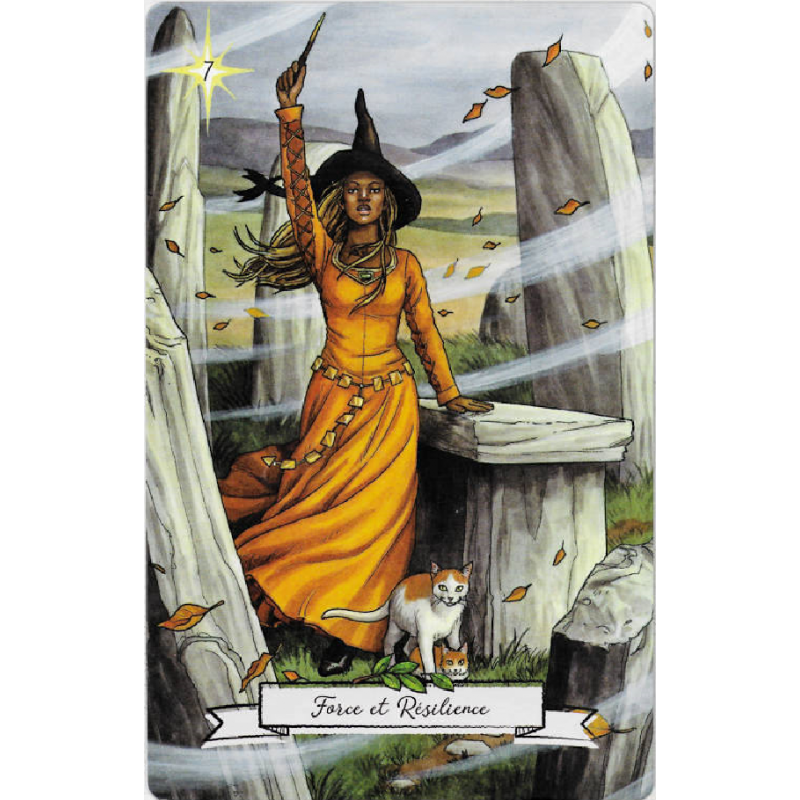 HISTOIRES DE SORCIERES - DEBORAH BLAKE