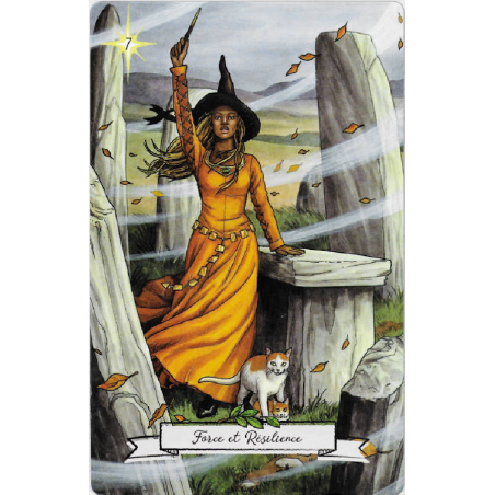 HISTOIRES DE SORCIERES - DEBORAH BLAKE