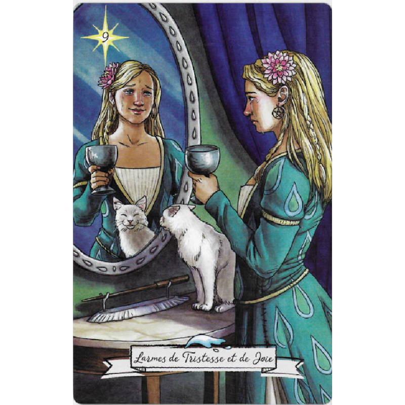 HISTOIRES DE SORCIERES - DEBORAH BLAKE