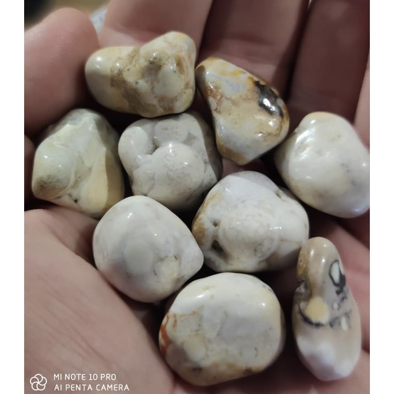 CRYOLITE
