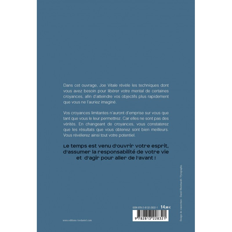 9 TECHNIQUES POUR CLARIFIER VOTRE PENSEE ET ATTEINDRE VOS OBJECTIFS - JOE VITALE
