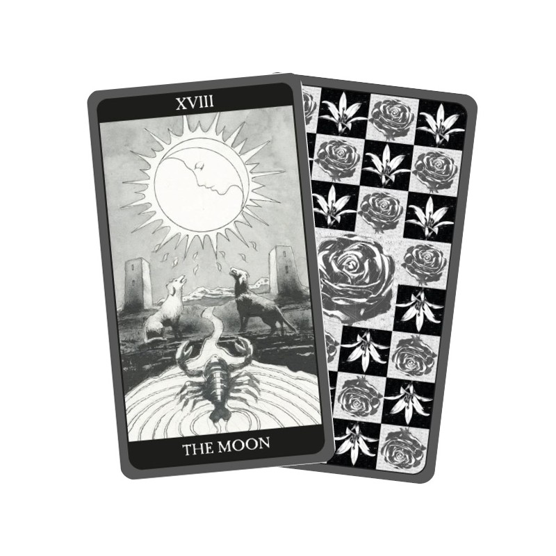 DARK SIDE TAROT - COFFRET - SASHA GRAHAM