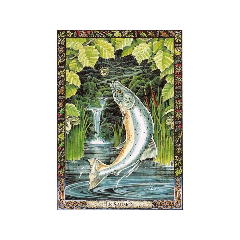 ORACLE DES DRUIDES - MAYANA VOYANCE ASTROLOGIE ESOTERISME LITHOTHERAPIE