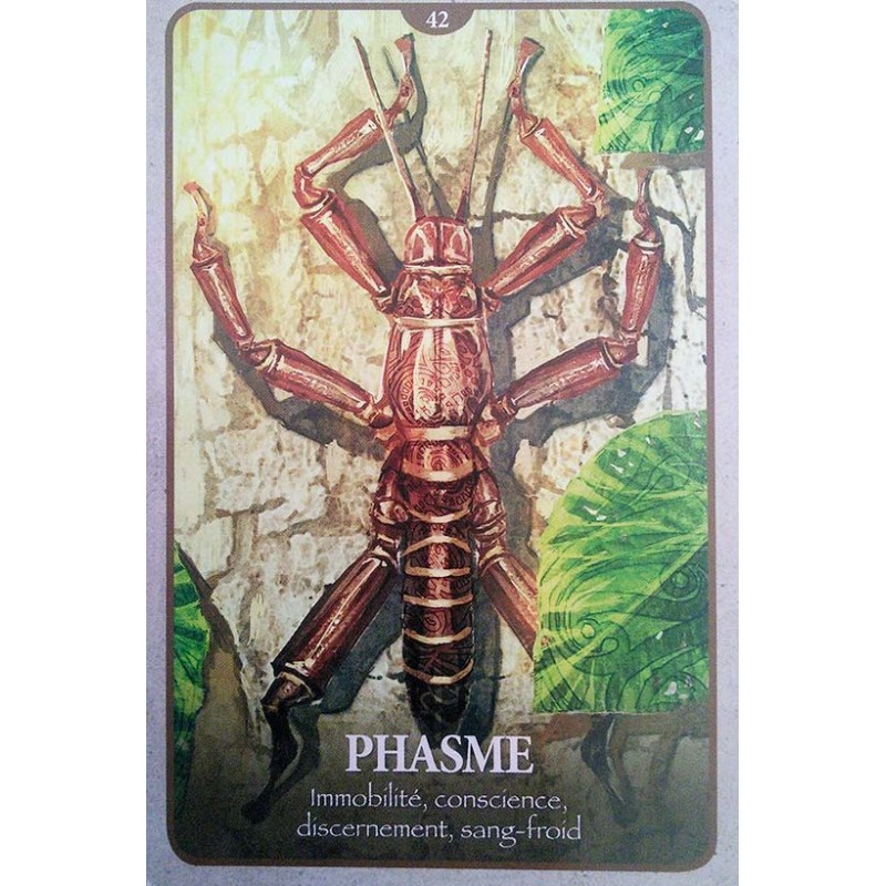 Livre et Jeux de cartes ORACLE langage secret des animaux pas cher ...