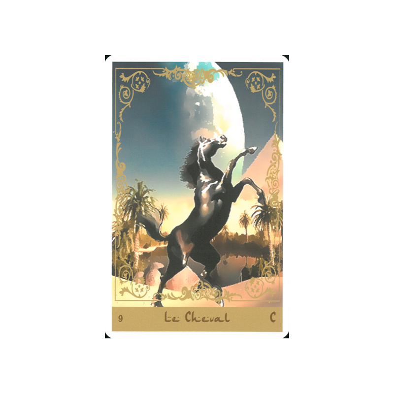 L'oracle symbolique du marc de café - SYLVIE CARIOU