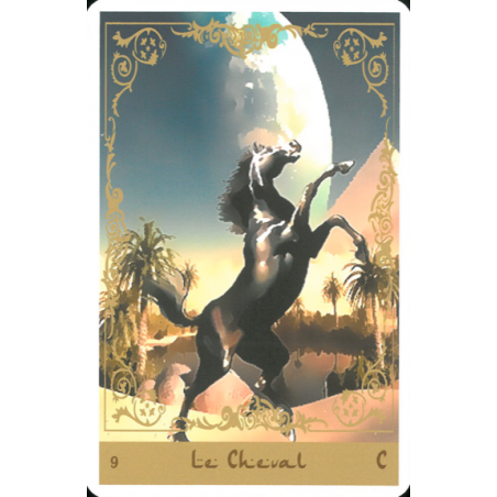 L'oracle symbolique du marc de café - SYLVIE CARIOU