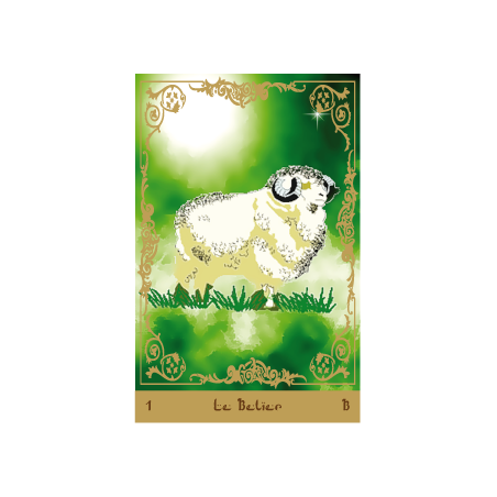 L'oracle symbolique du marc de café - SYLVIE CARIOU