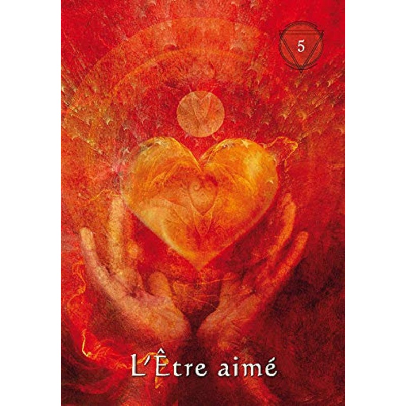 L'ORACLE DU CHAMAN MYSTIQUE - ALBERTO VILLOLDO