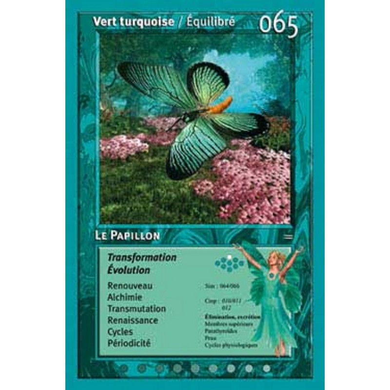 L'ORACLE DES COULEURS ARC EN CIEL - PIERRE VAN OBBERGHEN